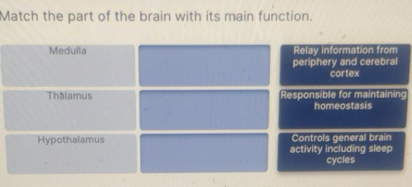 Solved: Match the part of the brain with its main function. Medulla ...