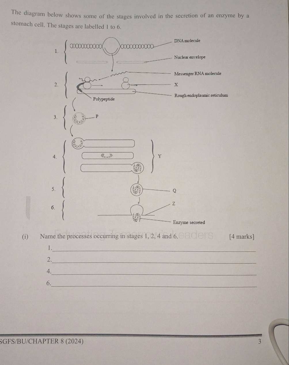 Selesai:The diagram below shows some of the stages involved in the ...