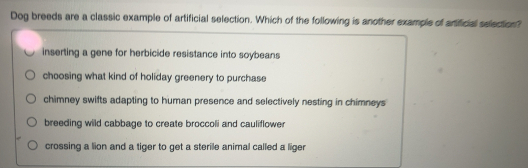 Solved: Dog breeds are a classic example of artificial selection. Which ...