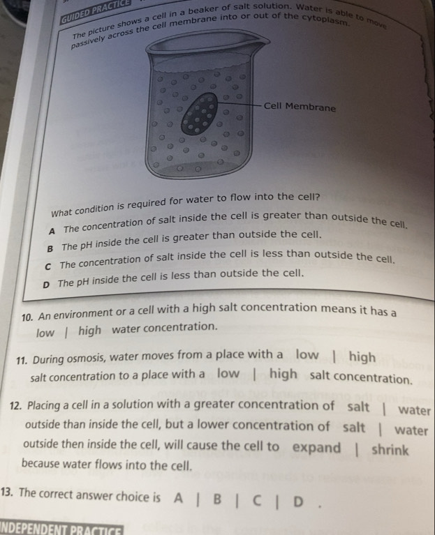 Solved: GUIDED PRACTICE The picture shows a cell in a beaker of salt ...