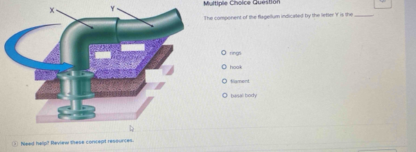 Solved: Question he component of the flagellum indicated by the letter ...
