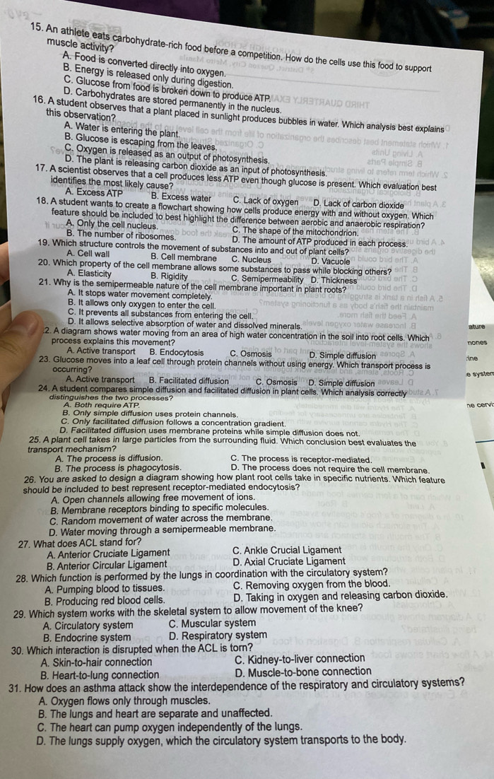 Solved: An athlete eats carbohydrate-rich food before a competition ...