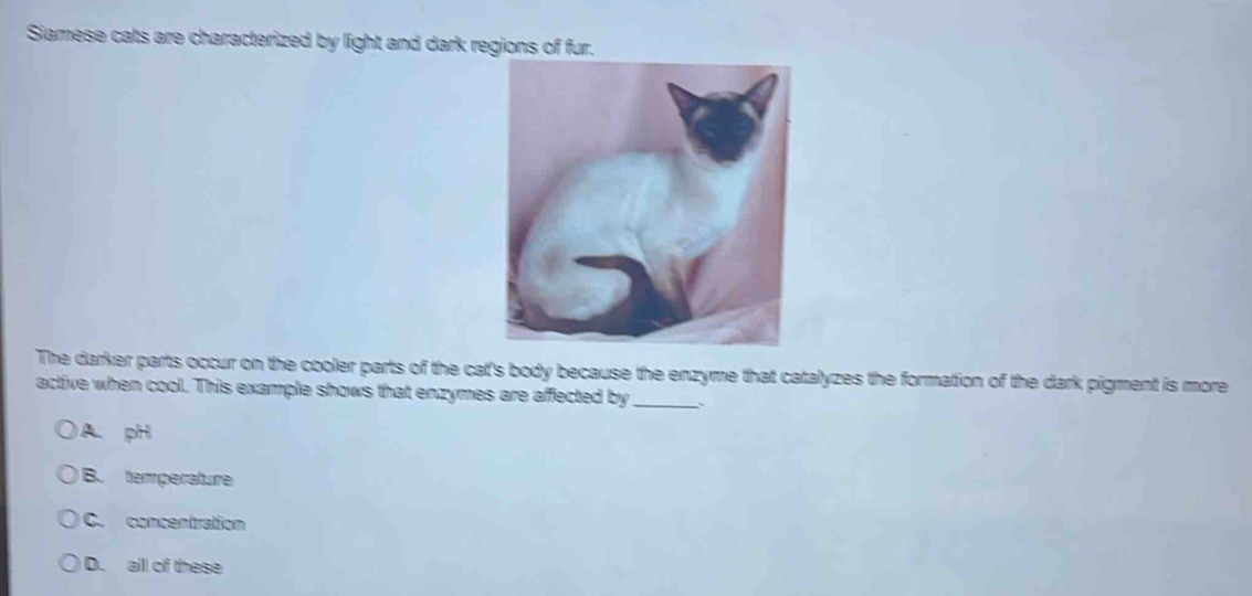 Solved: Siamese cats are characterized by light and dark regions of fur ...