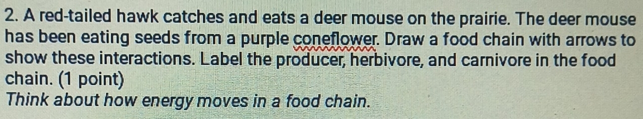Solved: A red-tailed hawk catches and eats a deer mouse on the prairie ...