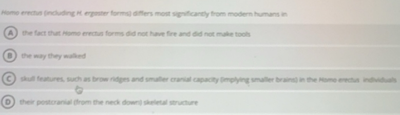 Solved: Homo erectus (including H. ergoster forms) differs most ...