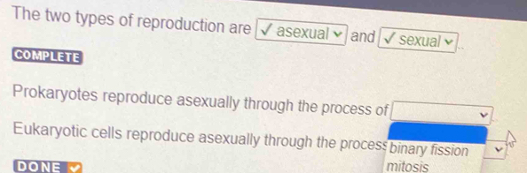 Solved: The two types of reproduction are | asexual and √ sexual ...
