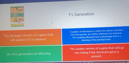 Solved: F1 Generation The stronger version of a gene that A pattern of ...
