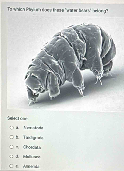 Solved: To which Phylum does these "water bears" belong? Select one: a ...