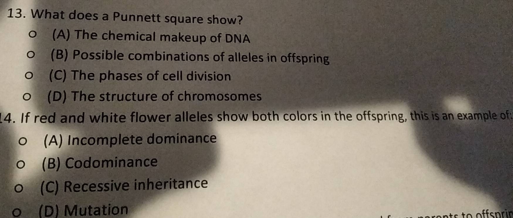 Solved: What does a Punnett square show? (A) The chemical makeup of DNA ...