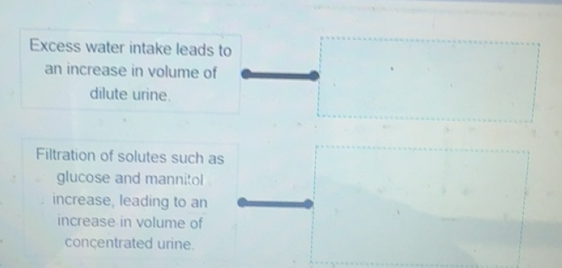 Solved: Excess water intake leads to an increase in volume of dilute ...