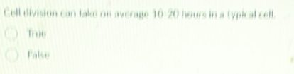 Solved: Cell division can take on average 10:20 hours in a typical cell ...
