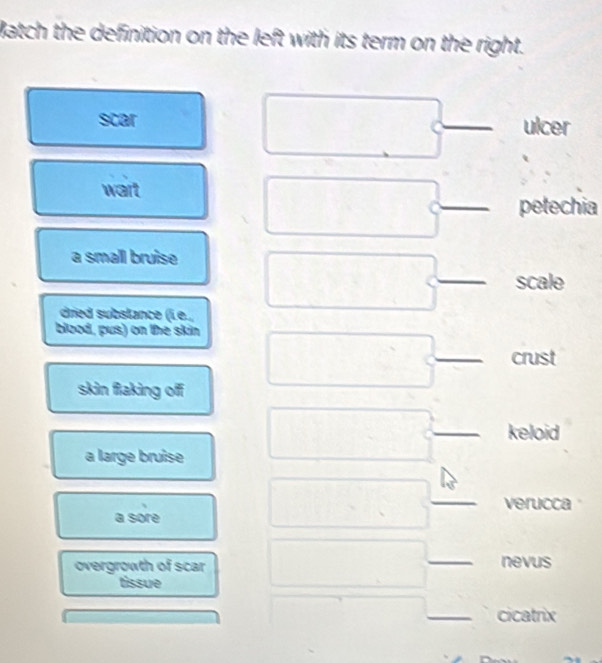 Solved: Batch the definition on the left with its term on the right ...