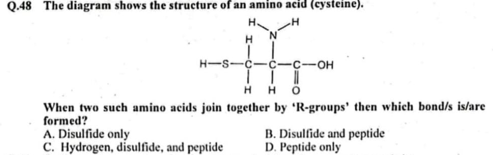 Solved: The diagram shows the structure of an amino acid (cysteine). H ...