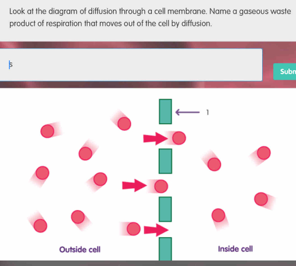 Solved: Look at the diagram of diffusion through a cell membrane. Name ...