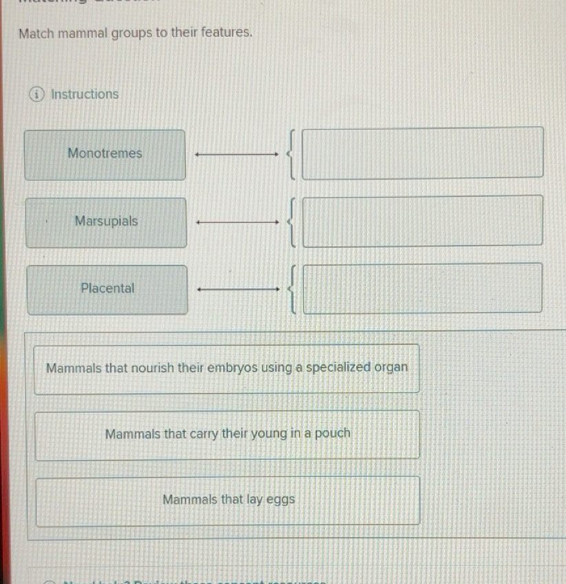 Solved: Match mammal groups to their features. Instructions Monotremes ...