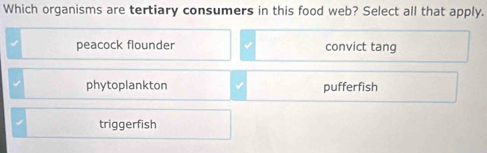 Solved: Which organisms are tertiary consumers in this food web? Select ...