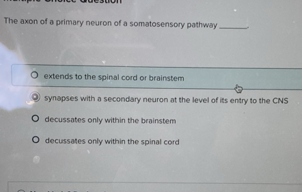 Solved: The axon of a primary neuron of a somatosensory pathway ...