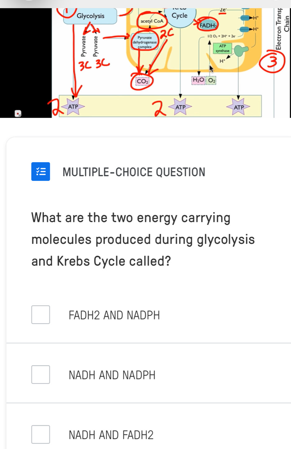 Solved: MULTIPLE-CHOICE QUESTION What are the two energy carrying molecules produced during ...