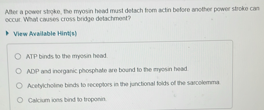 Solved: After a power stroke, the myosin head must detach from actin ...