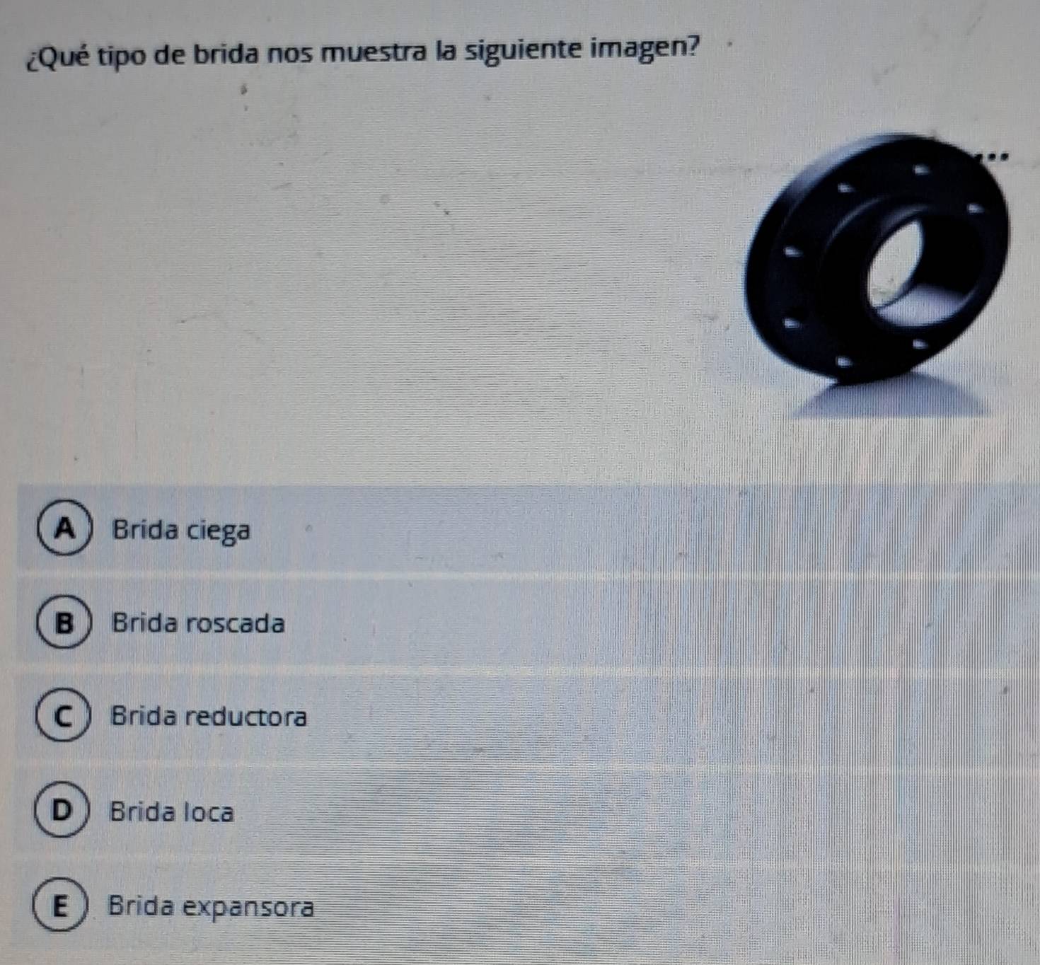 Resuelto:¿Qué tipo de brida nos muestra la siguiente imagen? A Brida ...