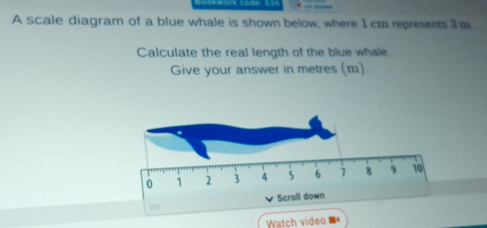 Solved: Bookwork code: Ele A scale diagram of a blue whale is shown ...