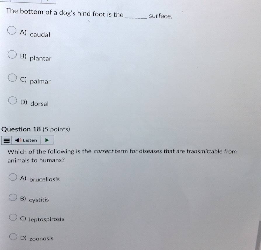 Solved: The bottom of a dog's hind foot is the _surface. A) caudal B ...