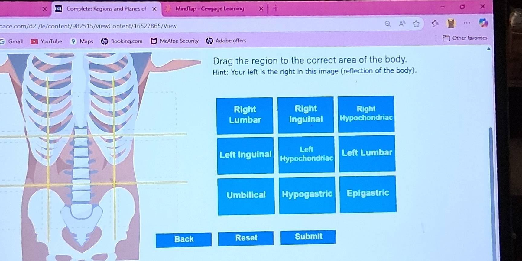 Solved: Complete: Regions and Planes of X MindTap - Cengage Learning ...
