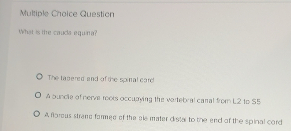 Solved: Question What is the cauda equina? The tapered end of the ...