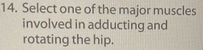 Solved: Select one of the major muscles involved in adducting and ...