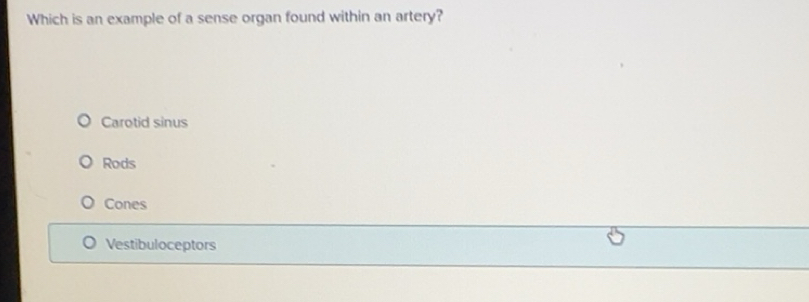 Solved: Which is an example of a sense organ found within an artery ...