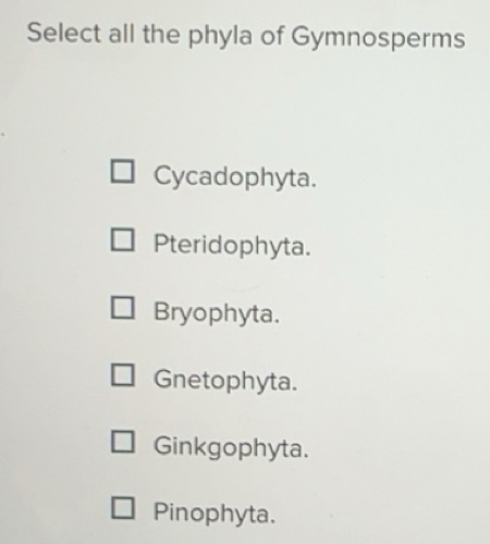 Solved: Select all the phyla of Gymnosperms Cycadophyta. Pteridophyta ...