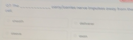 Solved: The _ carry/ carries nerve impuises away from the sheath ...