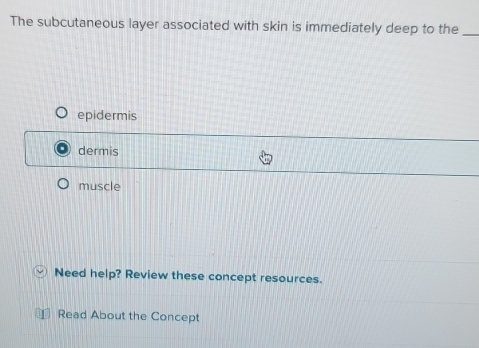 Solved: The subcutaneous layer associated with skin is immediately deep ...