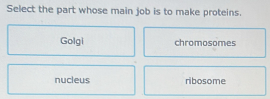 Solved: Select the part whose main job is to make proteins. Golgi ...