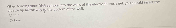 Solved: When loading your DNA sample into the wells of the ...