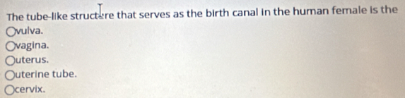 Solved: The tube-like structere that serves as the birth canal in the ...