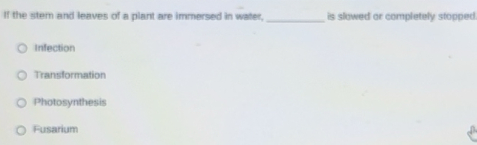Solved: If the stem and leaves of a plant are immersed in water, _is ...