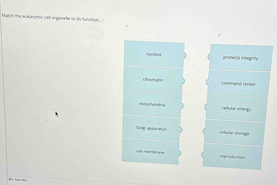 Solved: Match the eukaryotic cell organelle to its function. nucleus ...