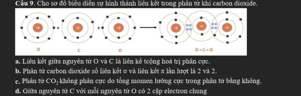 Giải quyết:Cho sơ đồ biều diễn sự hình thành liên kết trong phân tử khí ...