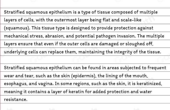 Solved: Identify the type of epithelial tissue in the bracket of figure ...
