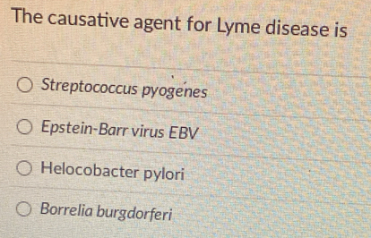 Solved: The causative agent for Lyme disease is Streptococcus pyogenes ...