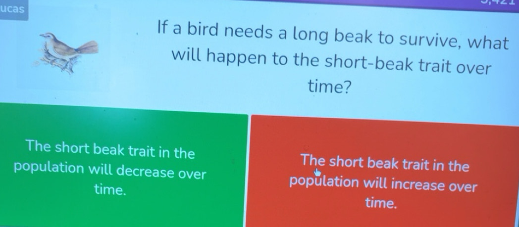 Solved: ucas If a bird needs a long beak to survive, what will happen ...