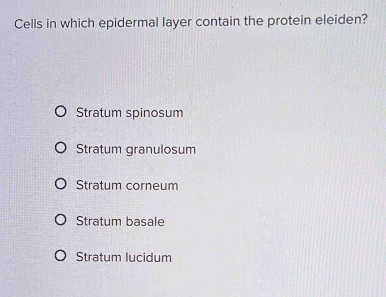Solved: Cells in which epidermal layer contain the protein eleiden ...