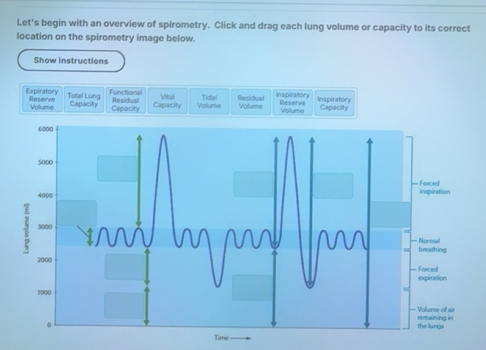 Solved: Let's begin with an overview of spirometry. Click and drag each ...