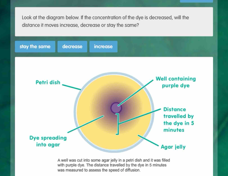 Solved: Look at the diagram below. If the concentration of the dye is ...