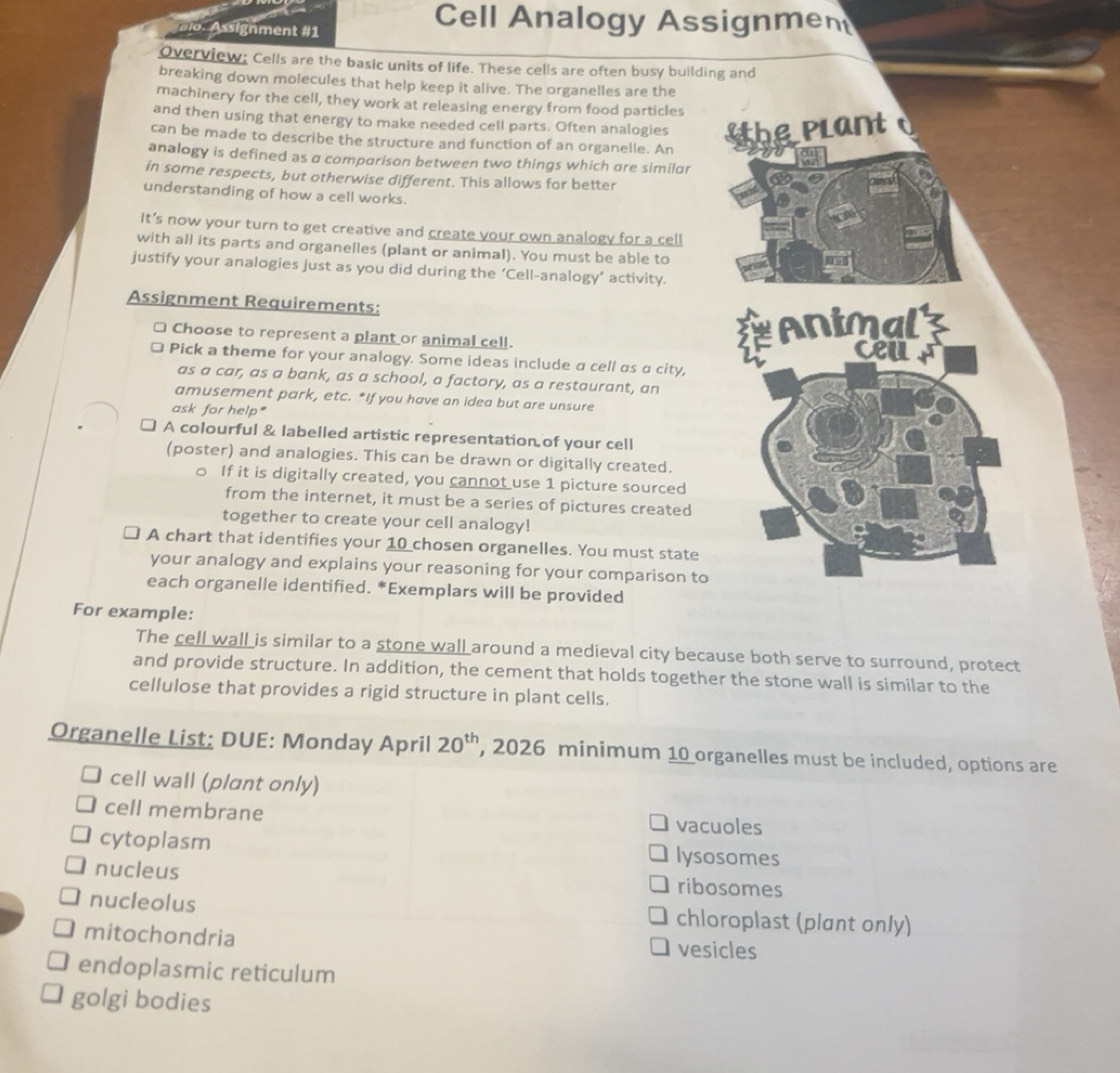 Solved: sio. Assignment #1 Cell Analogy Assignmen Overview; Cells are ...