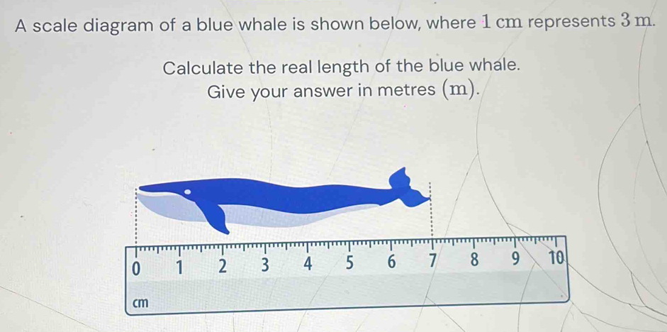 Solved: A scale diagram of a blue whale is shown below, where 1 cm ...
