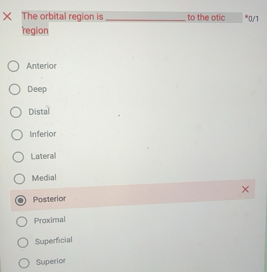 Solved: The orbital region is _to the otic 0/1 region Anterior Deep ...