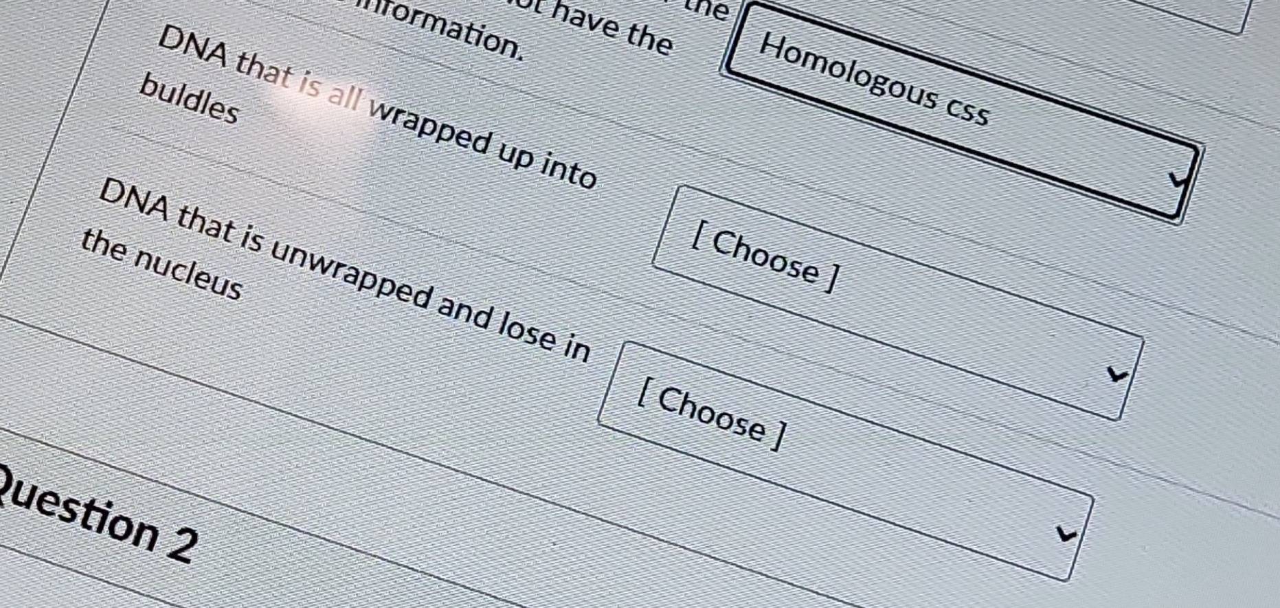 Solved: the Ut have the information. Homologous css buldles DNA that is ...