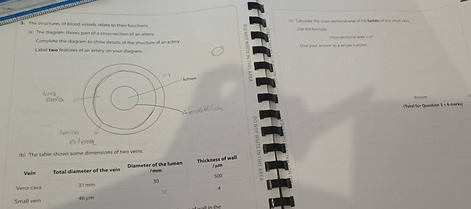 Résolu :Calculate the cross-sectional area of the lumen of this small ...